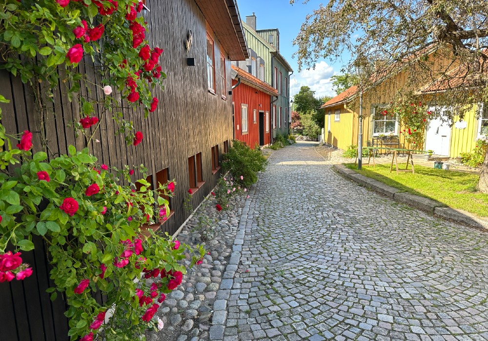 What to See, Eat and Do in Västerås – A Local’s Guide